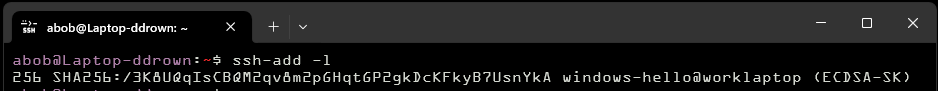 Windows/WSL hardware ssh & gpg keys